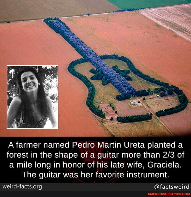 N/A - A farmer named Pedro Martin Ureta planted a forest in the shape ...