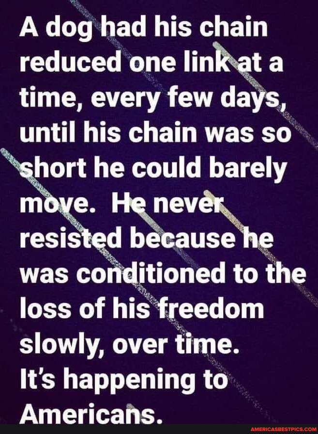 Dog had his chain reduced one link ata time, every few days, until his ...