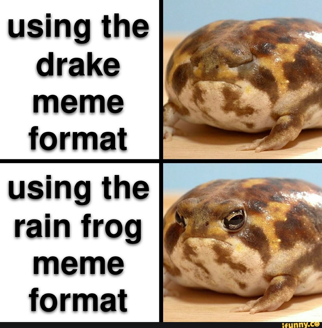 Using the drake meme format using the II rain frog meme format - iFunny