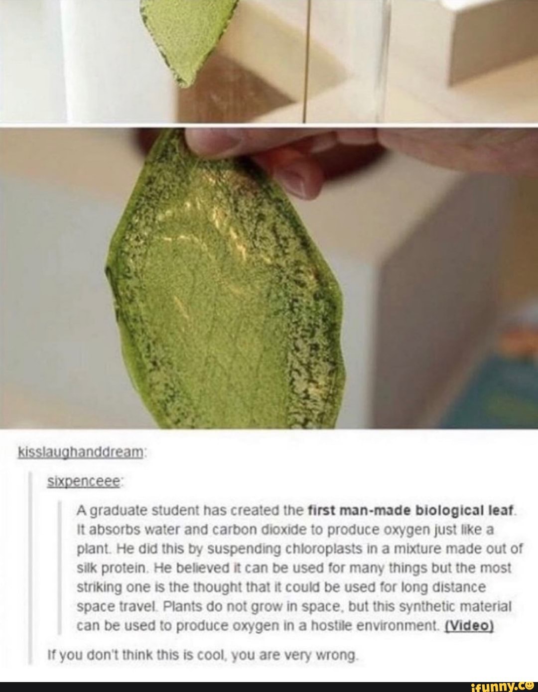 Chloroplasts memes. Best Collection of funny Chloroplasts pictures on ...