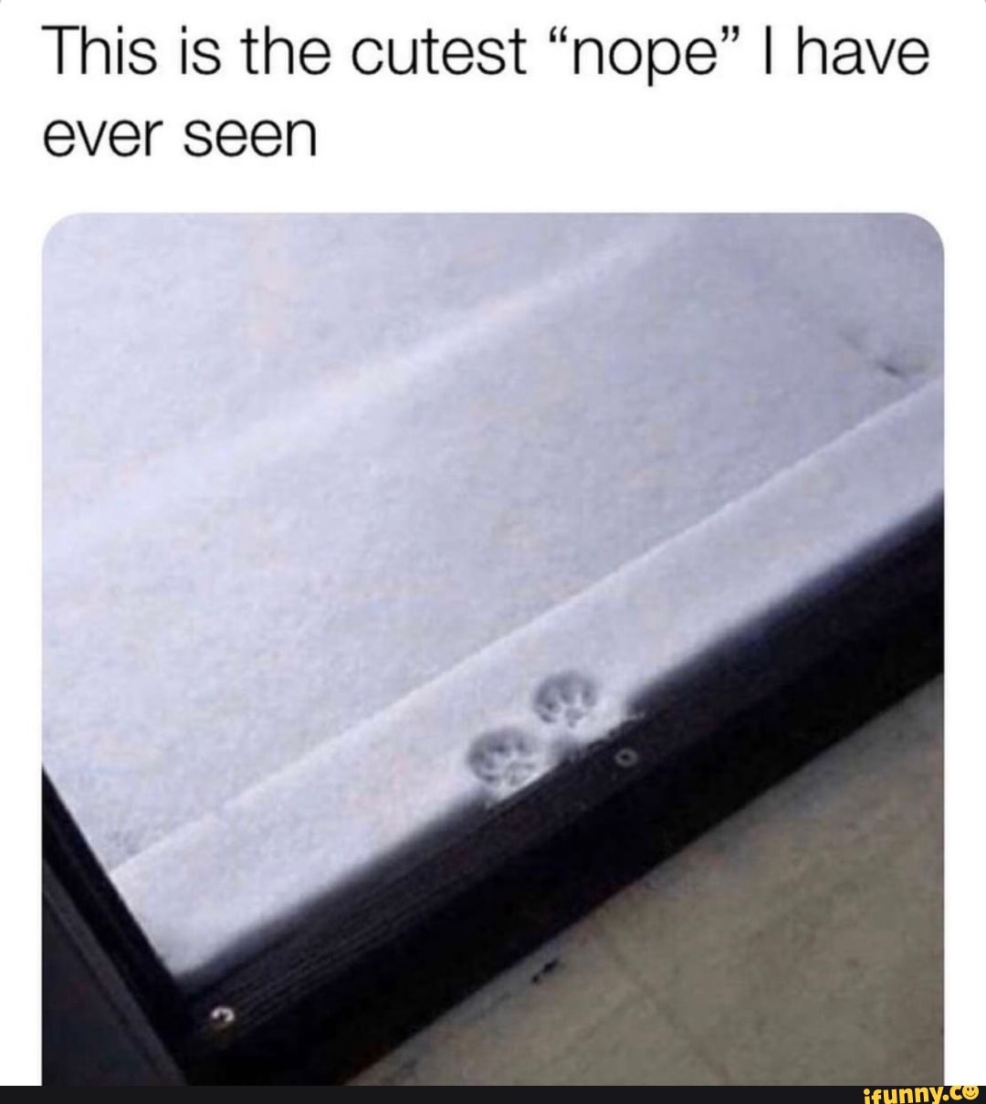 This is the cutest "nope" I have ever seen - iFunny