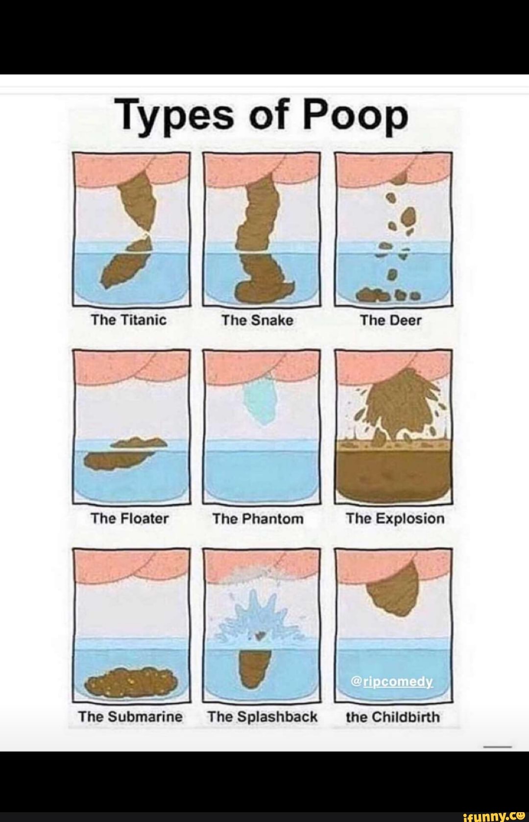 Types of Poop The Submarine The Splashback the Childbirth - iFunny