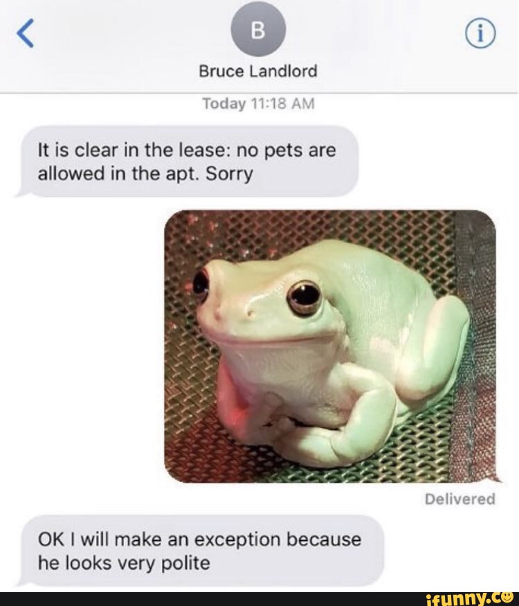 It is clear in the lease: no pets are allowed in the apt. Sorry OK 1 ...