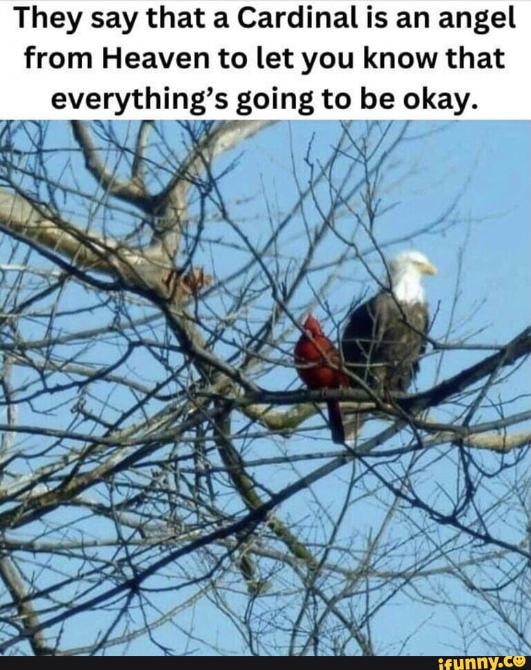 Some random person airdropped this video to me during my bio class and ...