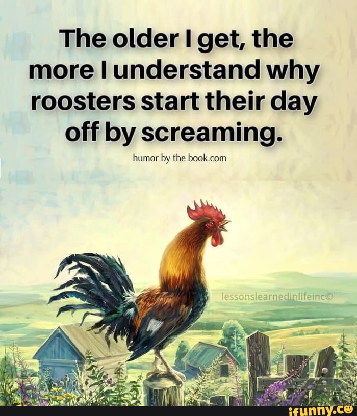 The older I get, the more I understand why roosters start their day off ...