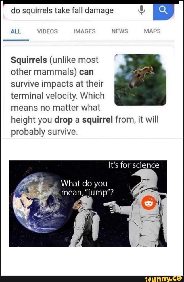 Squirrel Burn Meme
