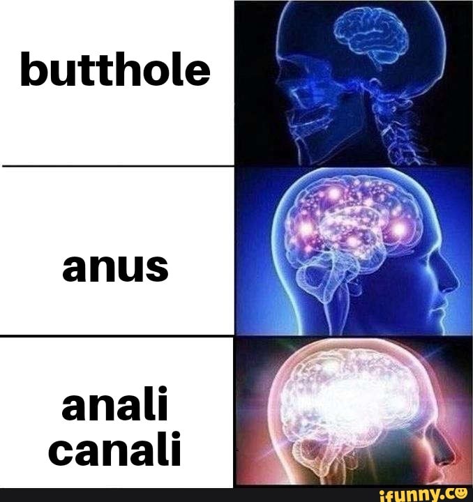 Anali memes. Best Collection of funny Anali pictures on iFunny