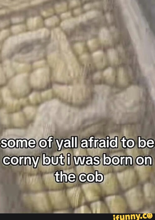 Some of yall afraid to be corny but i was born on the cob - iFunny