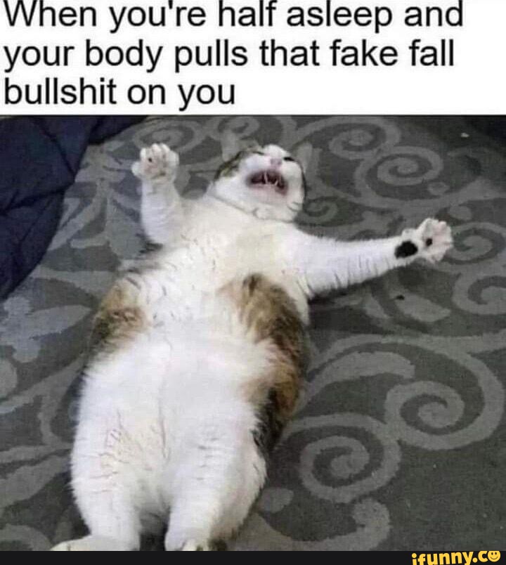 When youre half asleep and your body pulls that fake fall bullshit on ...