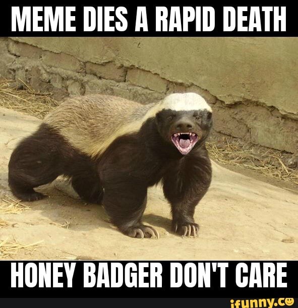MEME sh RAPID DEATH HONEY BADGER DON'T CARE - iFunny