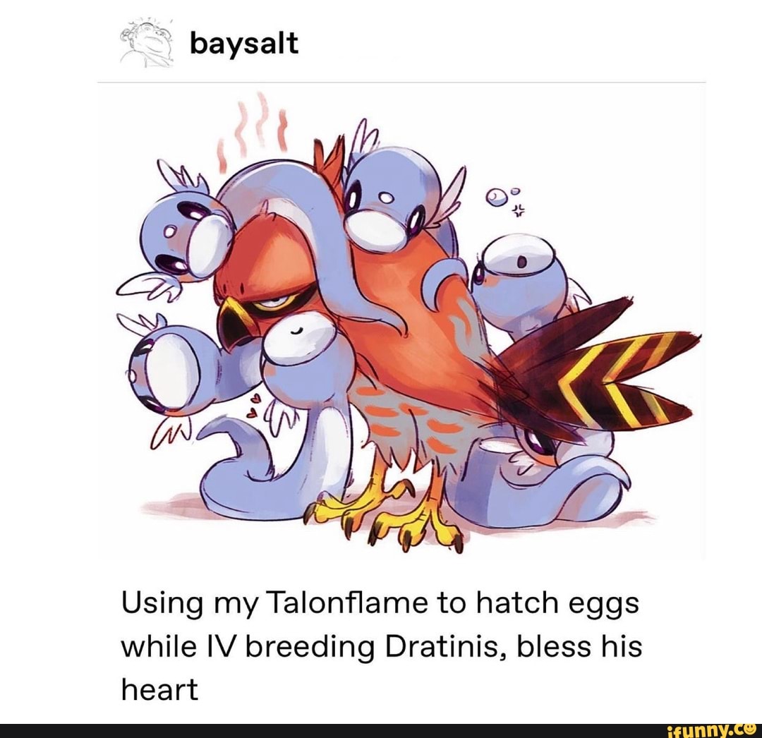 Baysalt Using my Talonflame to hatch eggs while IV breeding Dratinis ...
