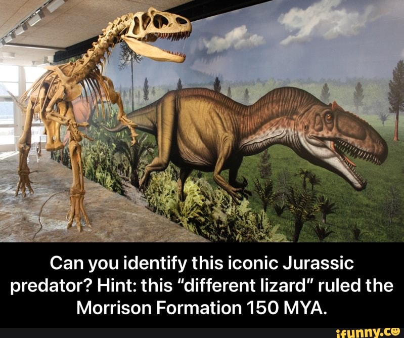 Can you identify this iconic Jurassic predator? Hint: this "different ...