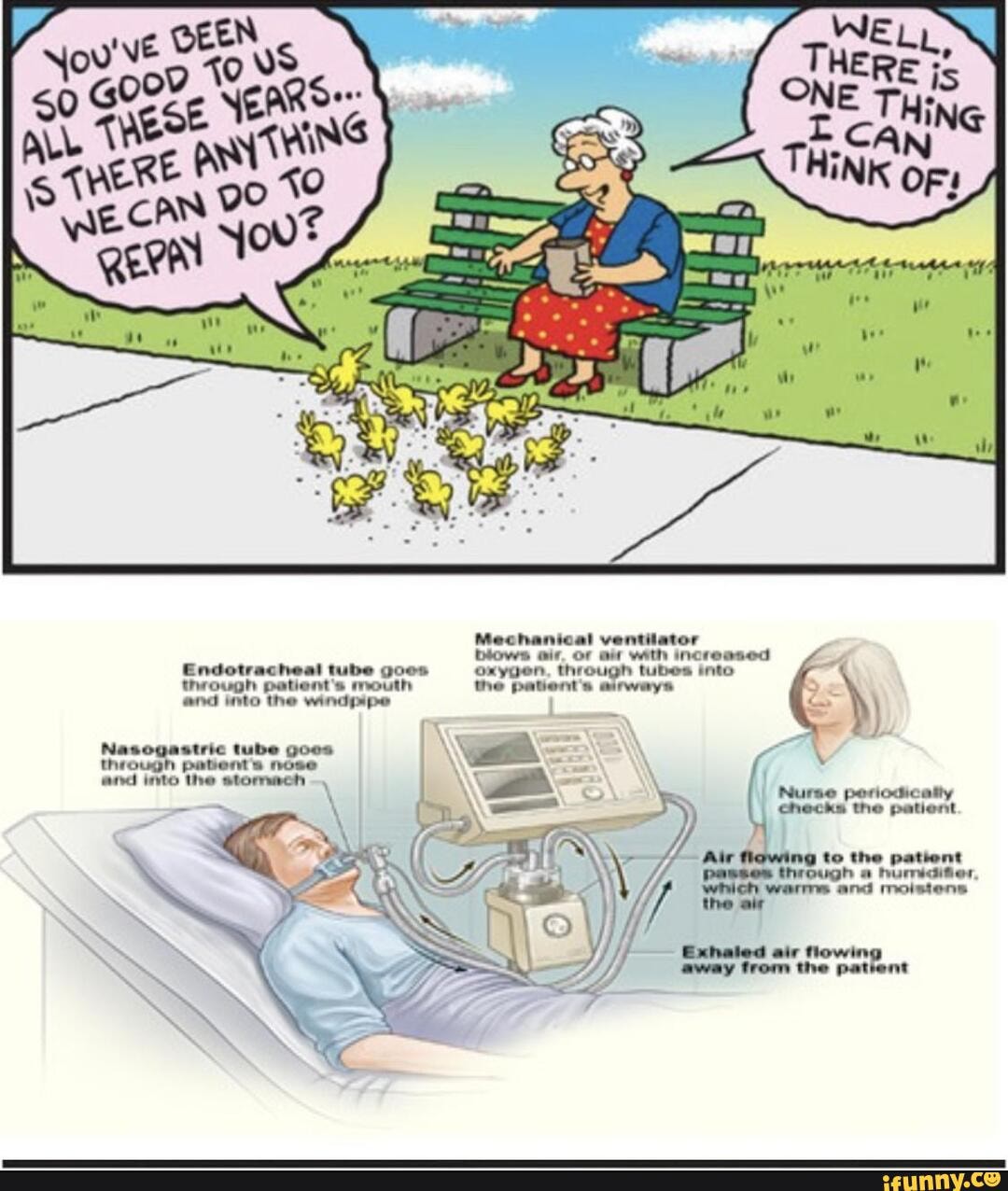 Increesed Endotracheal through tube patient's = goes oxygen gn lubes mo ...