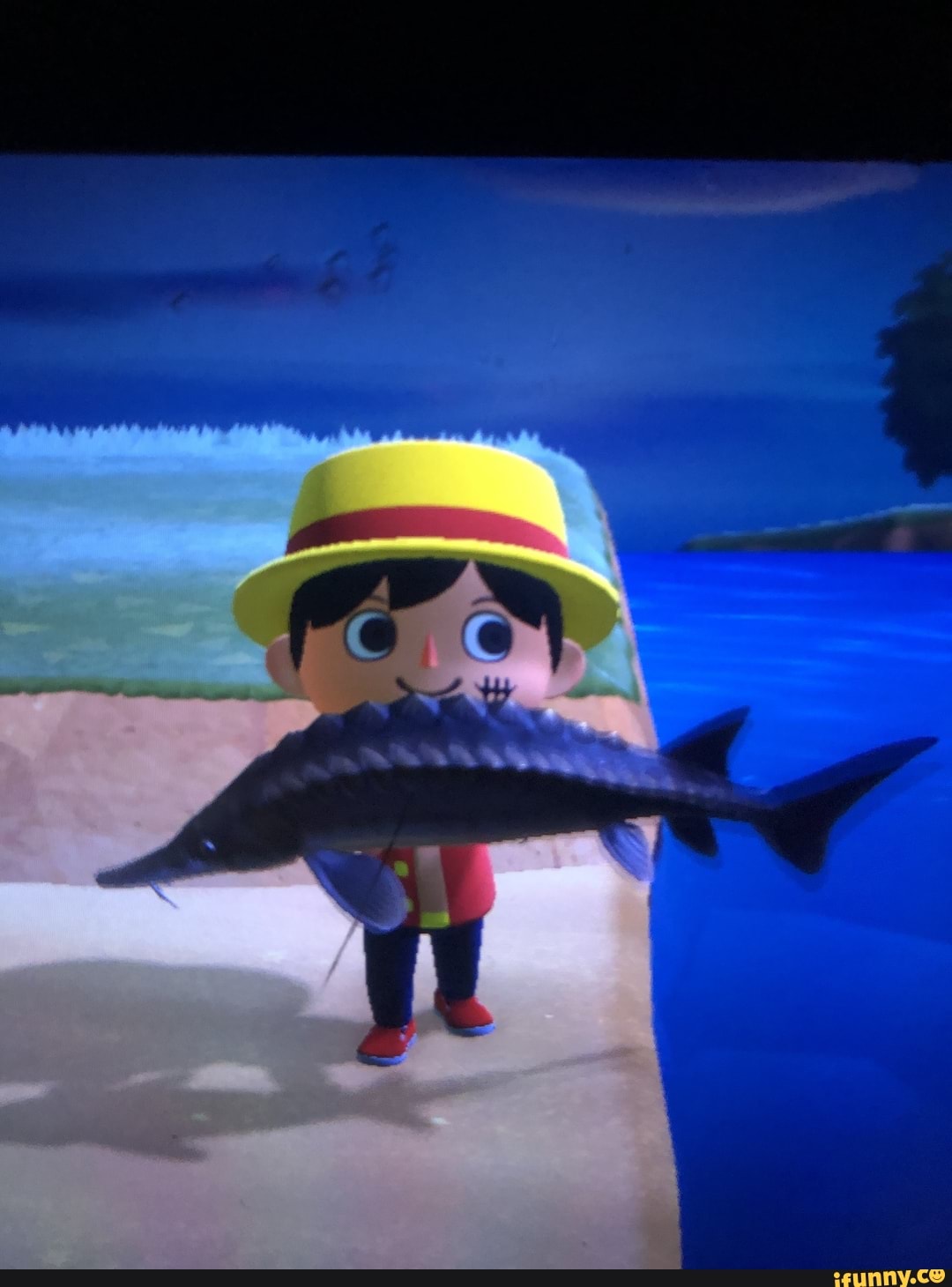 Luffy in animal crossing - iFunny