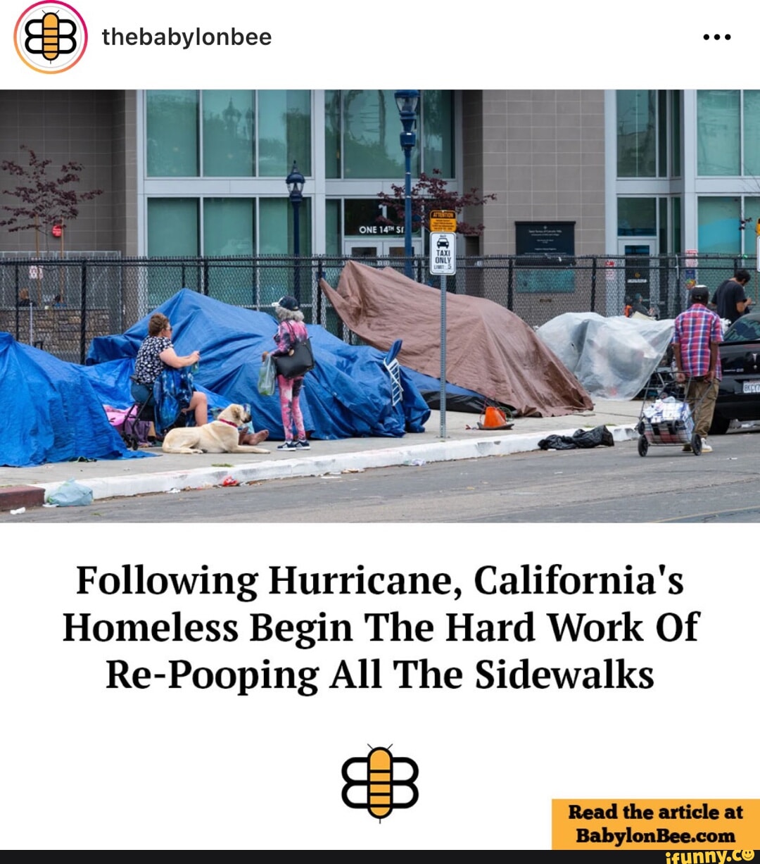 Thebabylonbee Following Hurricane, California's Homeless Begin The Hard ...