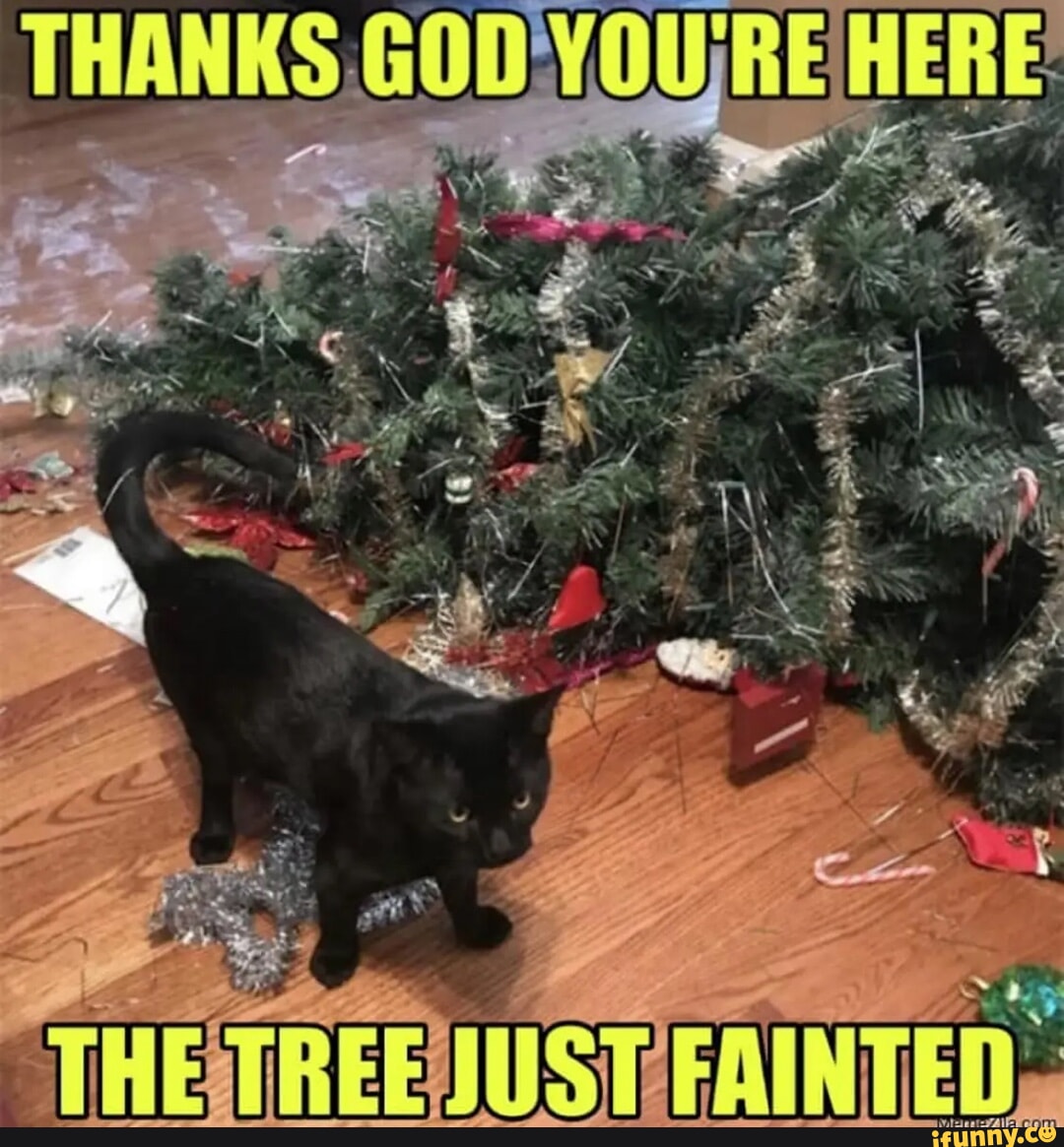 IFLSCIENCE.COM Australians Have Accidentally Been Eating A Fish Unknown ...