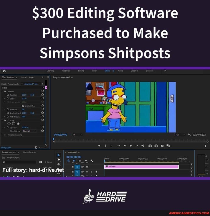 $300 Editing Software Purchased to Make Simpsons Shitposts Full story ...