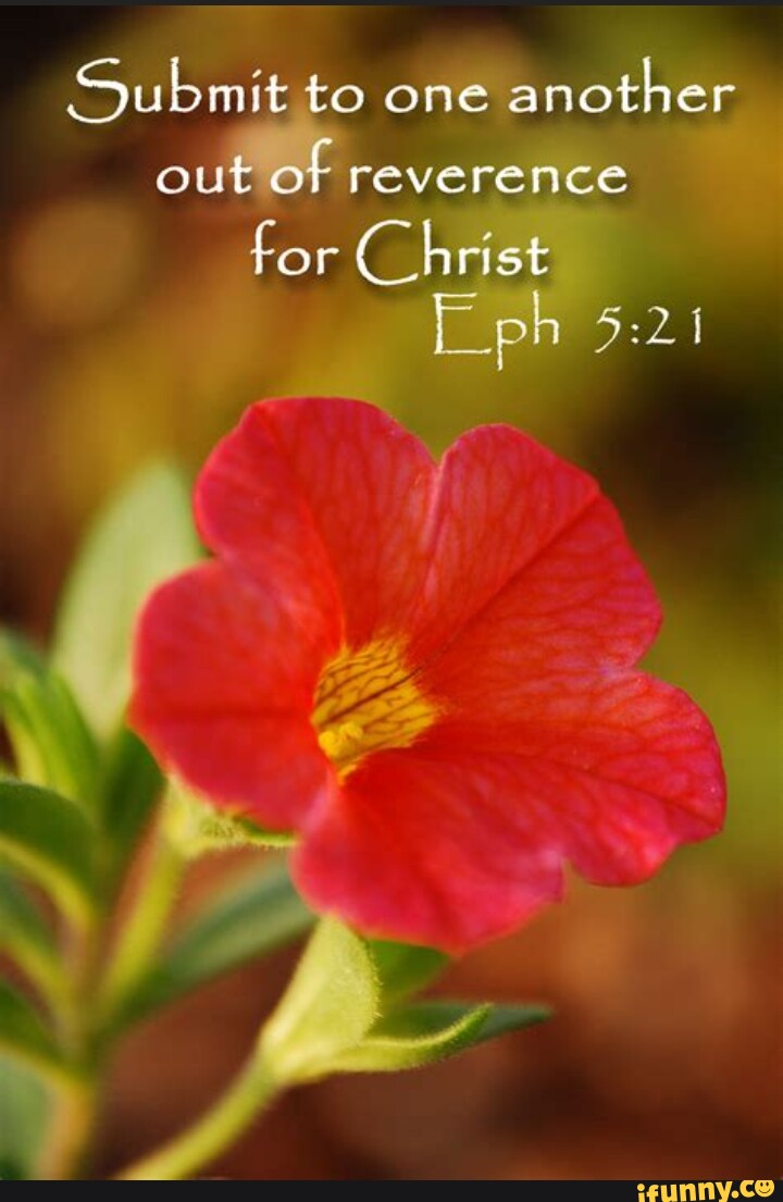 Reverence memes. Best Collection of funny Reverence pictures on iFunny