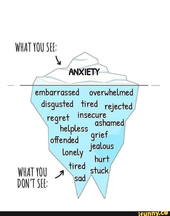 We all have issues - WHAT YOU SEE: ~(ANXIETY embarrassed overwhelmed ...