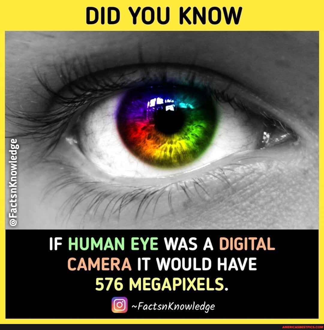 DID YOU KNOW @FactsnKnowledge IF HUMAN EYE WAS A DIGITAL CAMERA IT ...