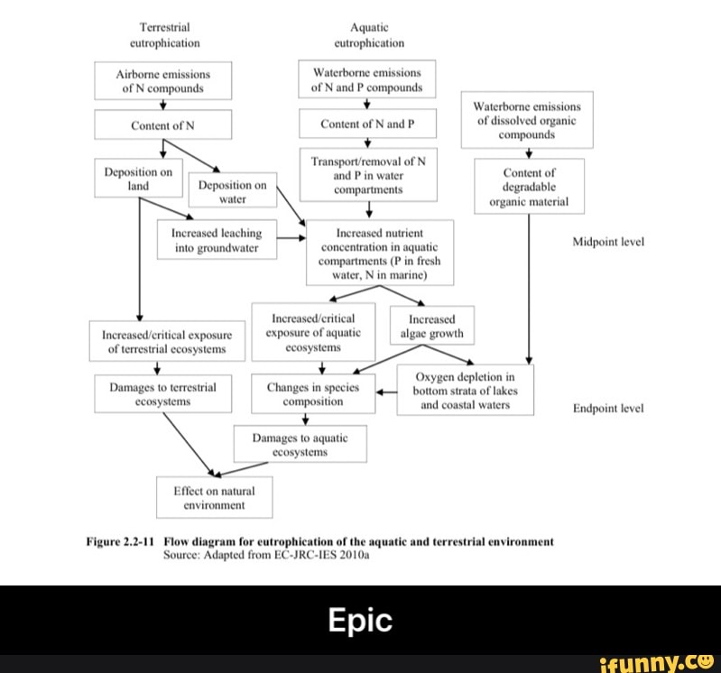 Eutrophication Flow Chart