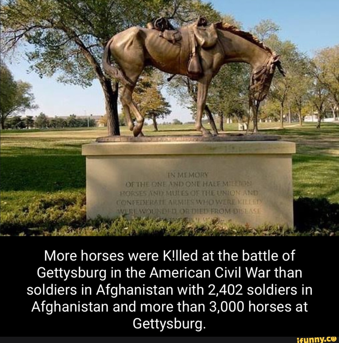 More horses were K'lled at the battle of Gettysburg in the American ...