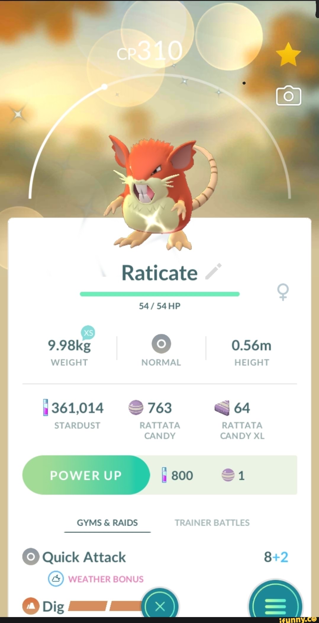 Rattata memes. Best Collection of funny Rattata pictures on iFunny