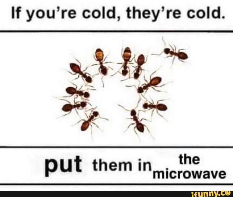 If you're cold, they're cold. shit, the put them IN microwave - iFunny