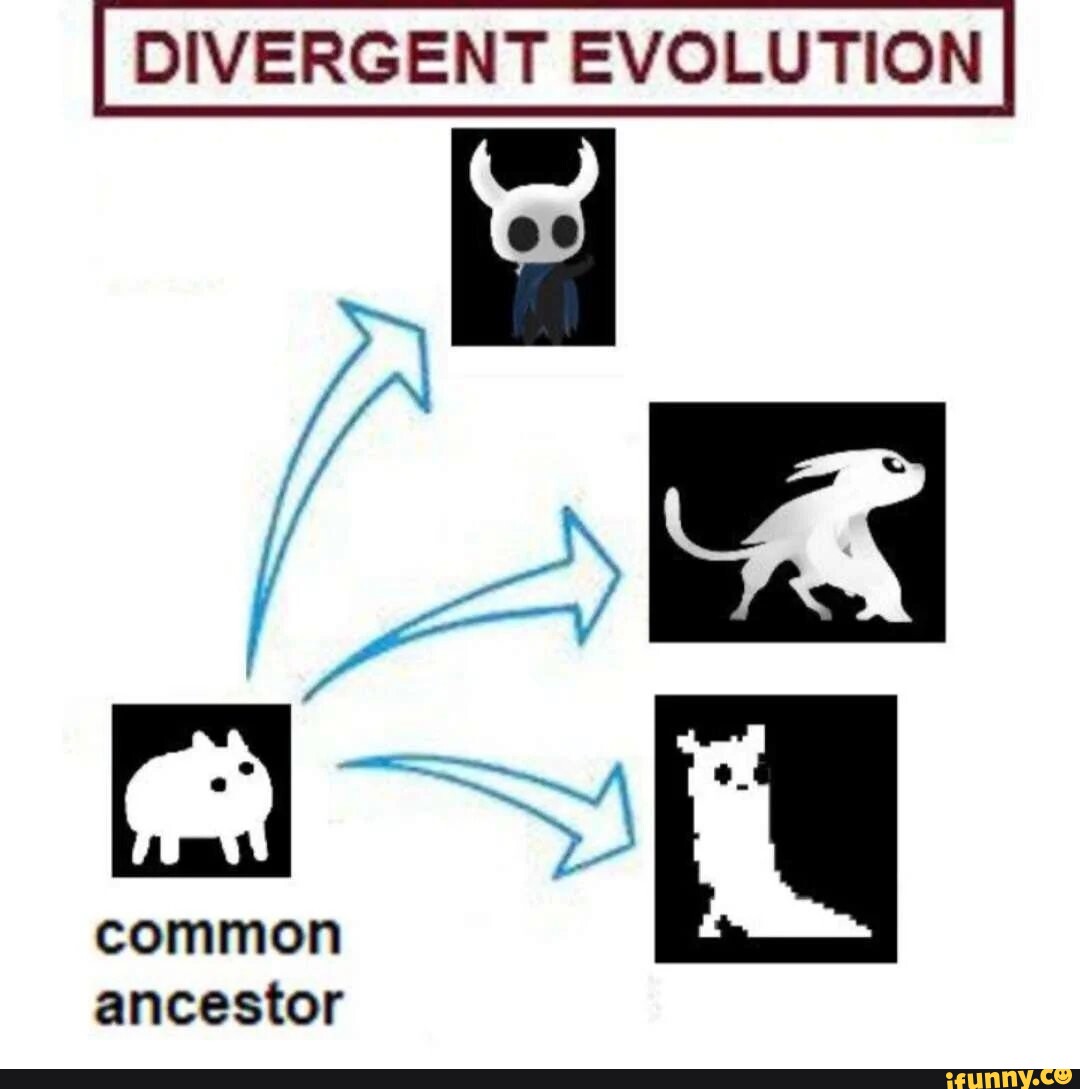 Divergent memes. Best Collection of funny Divergent pictures on iFunny