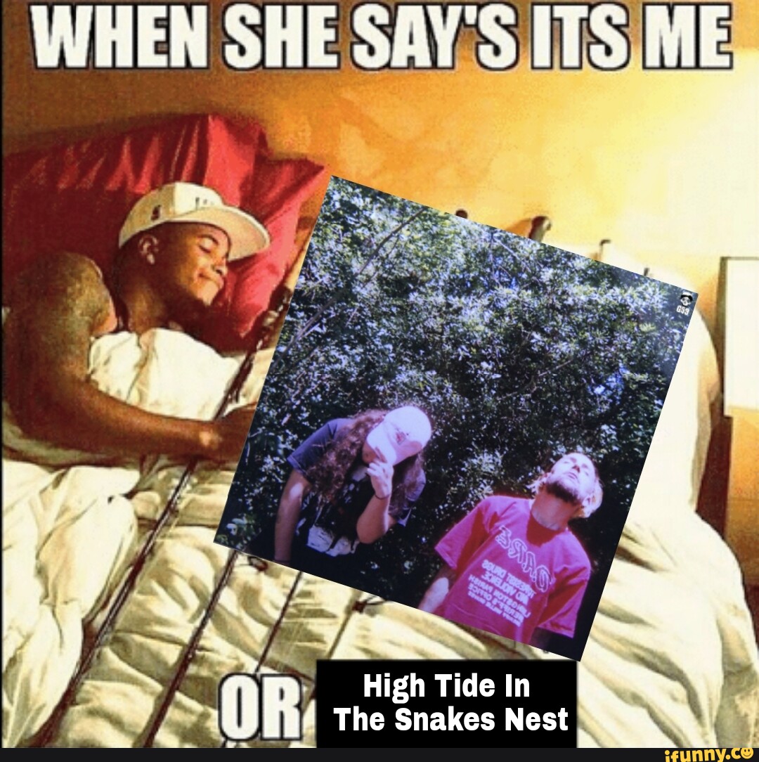 SHE: "AR. High Tide In The Snakes Nest - iFunny