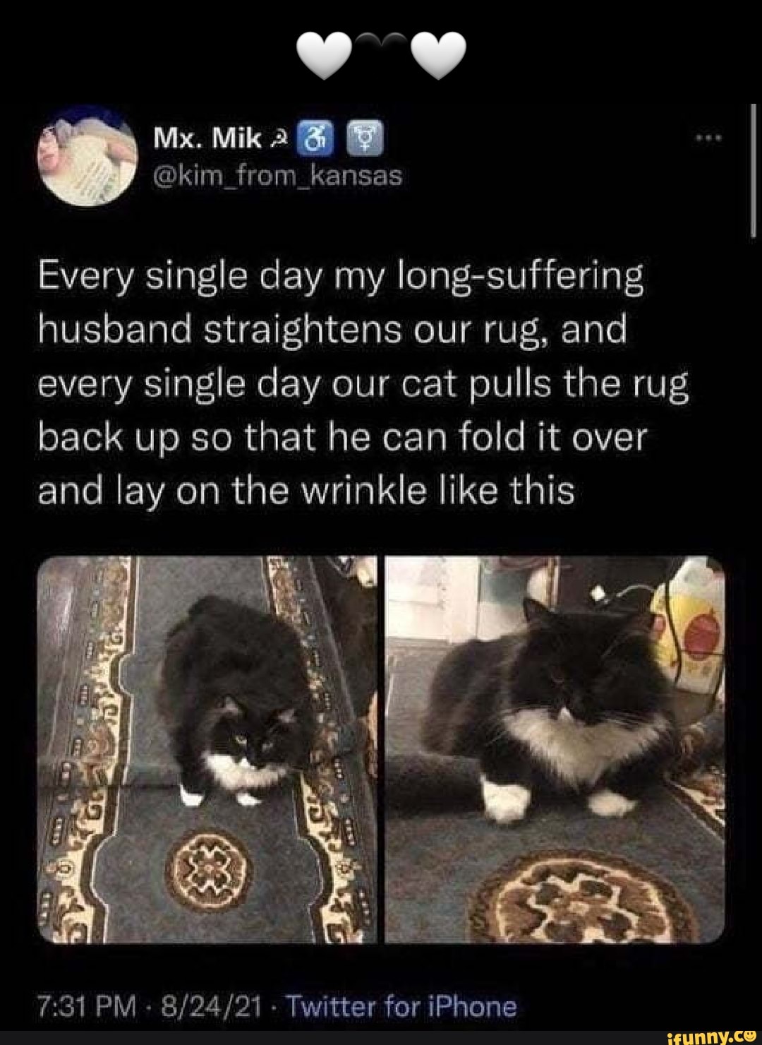 Wrinkle memes. Best Collection of funny Wrinkle pictures on iFunny