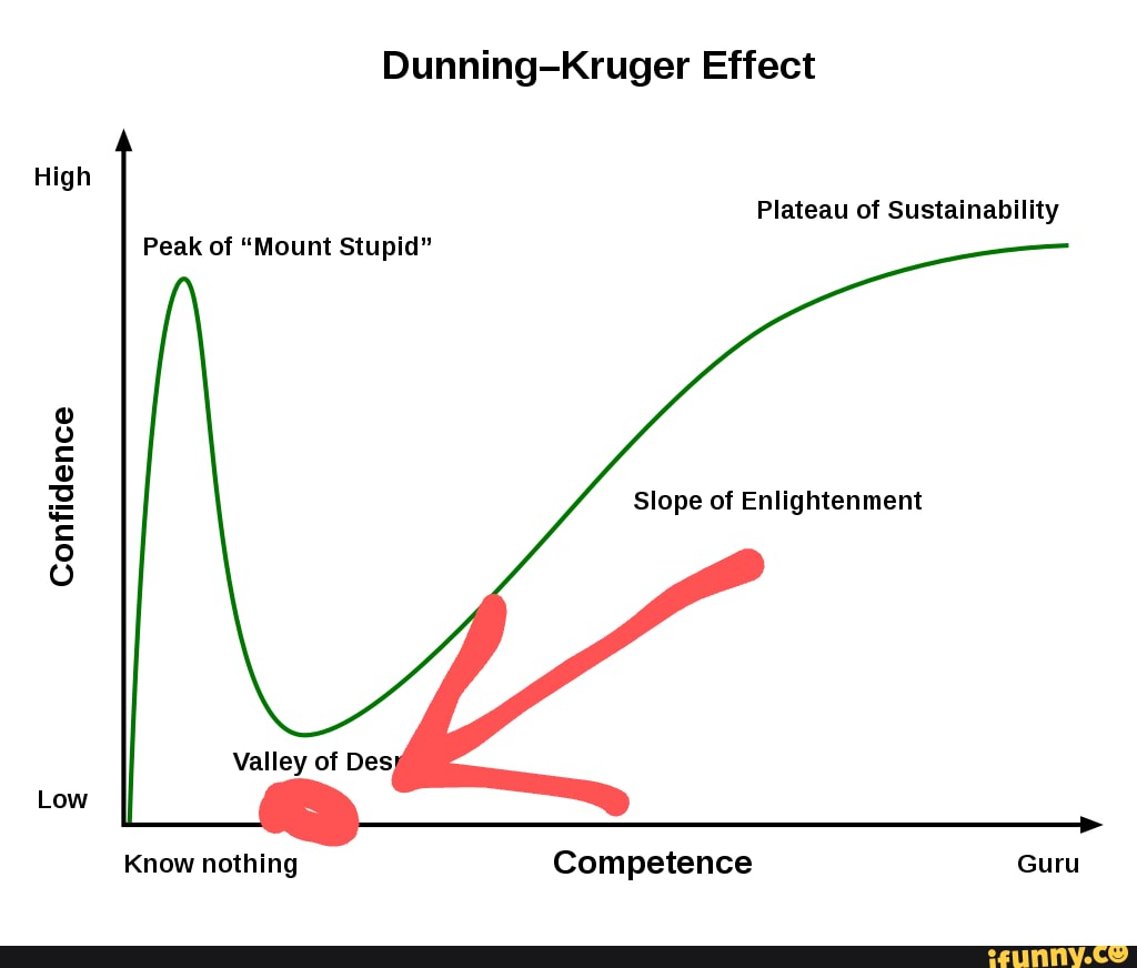 Dunning-Kruger Effect High Plateau of Sustainability Peak of "Mount ...