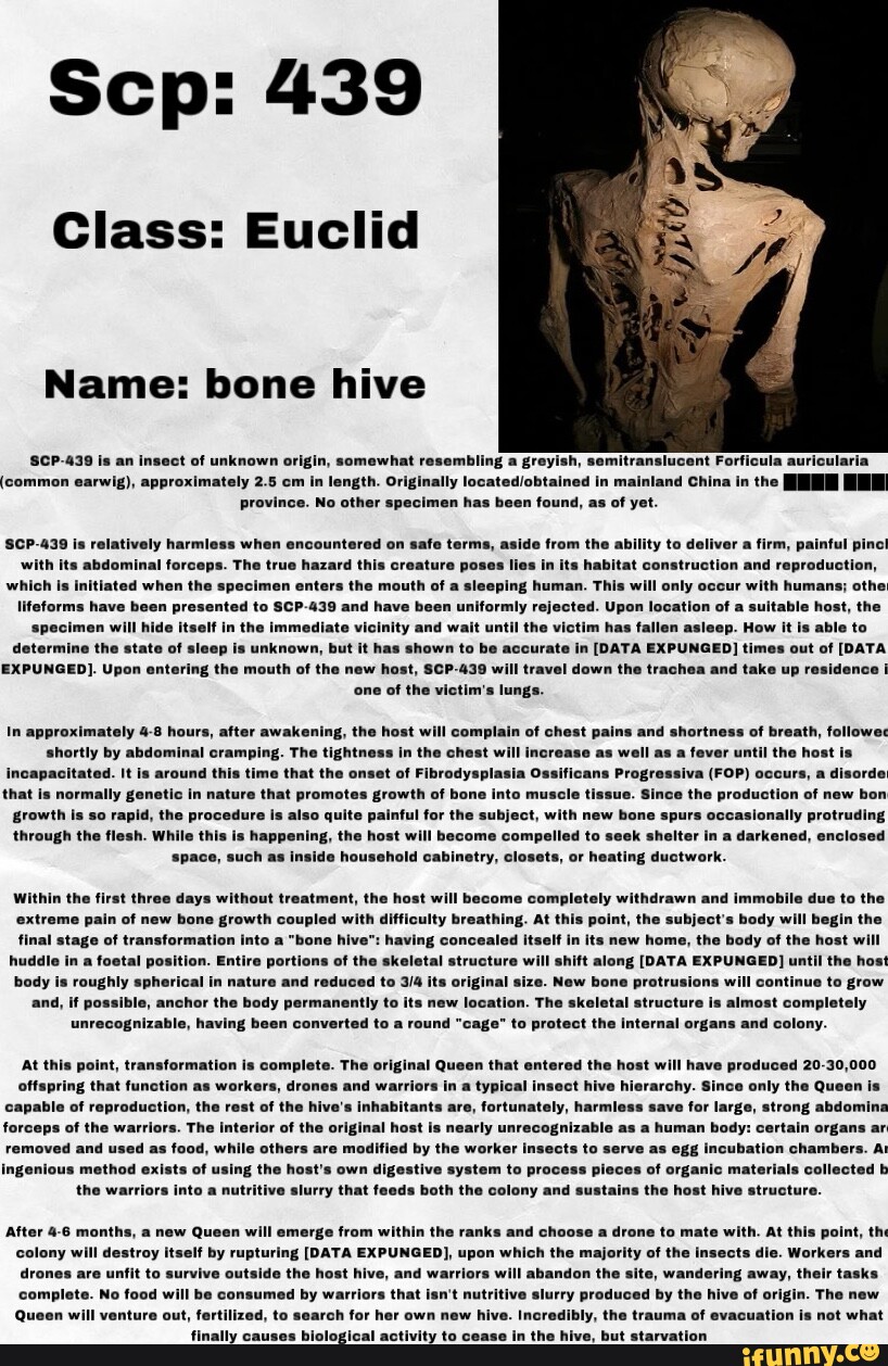 Scp: 439 Class: Euclid Name: bone hive ScP-439 (common an insect of ...