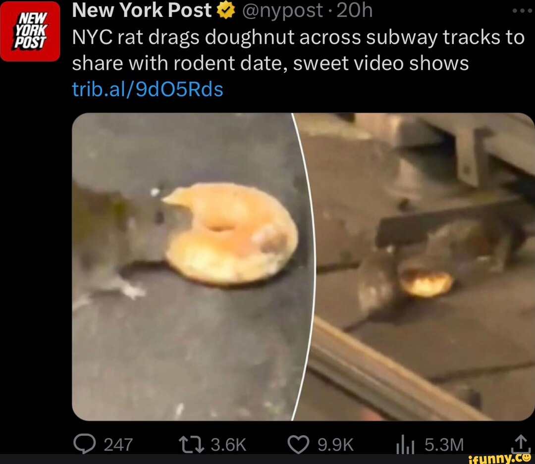 Video memes idZc388g7 by DemonShark172: 0.8K comments - iFunny