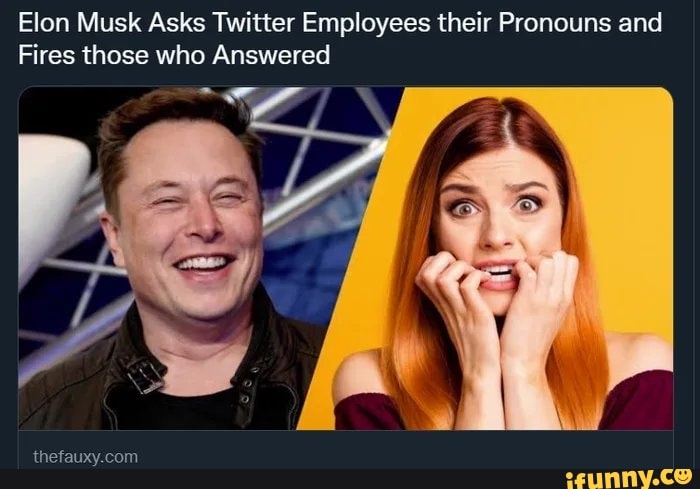 Elon Musk Asks Twitter Employees their Pronouns and Fires those who ...