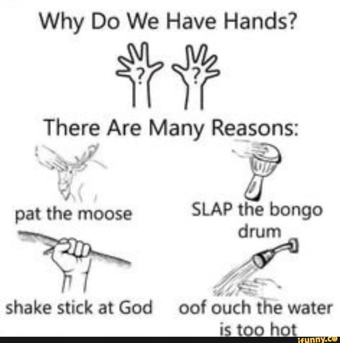Why Do We Have Hands? There Are Many Reasons: pat the moose SLAP the ...