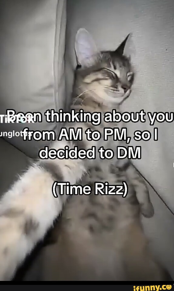 Almost looks like CGI. SpaceX successfully landed their starship rocket ...