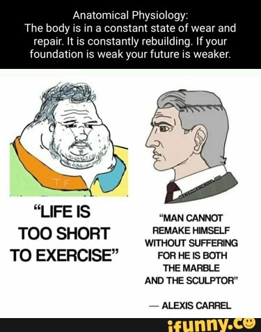 Anatomical memes. Best Collection of funny Anatomical pictures on iFunny