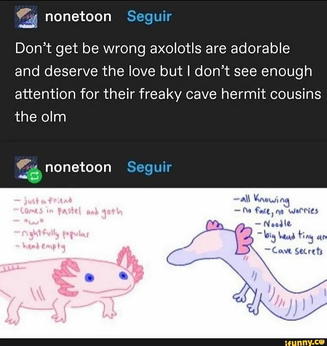 Nonetcon memes. Best Collection of funny Nonetcon pictures on iFunny