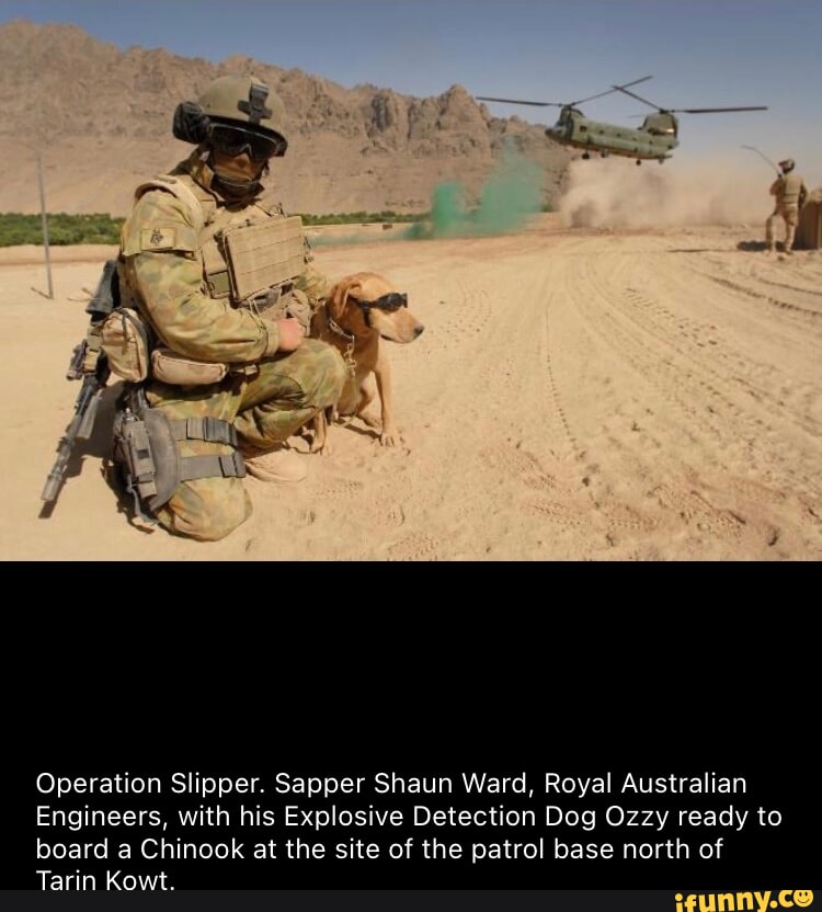 Sapper memes. Best Collection of funny Sapper pictures on iFunny