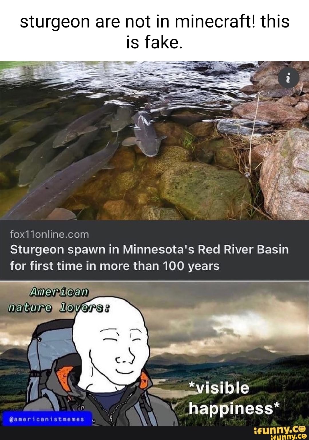 Sturgeon are not in minecraft! this is fake. Sturgeon spawn in ...