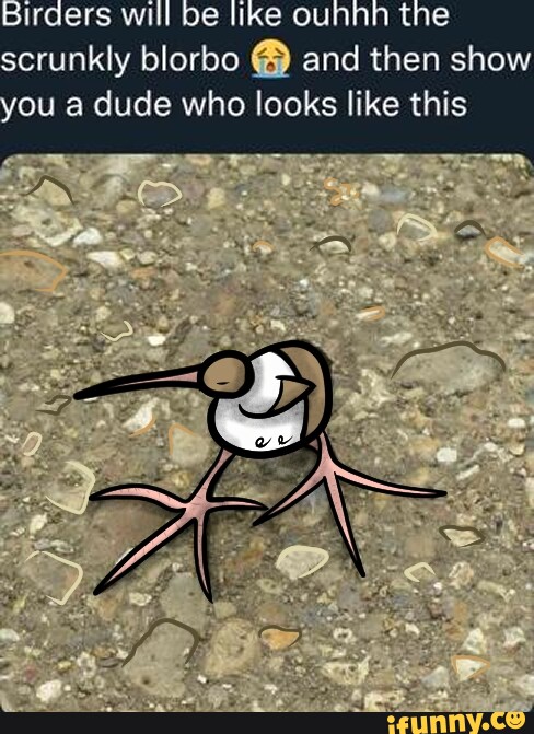 Blorbo memes. Best Collection of funny Blorbo pictures on iFunny