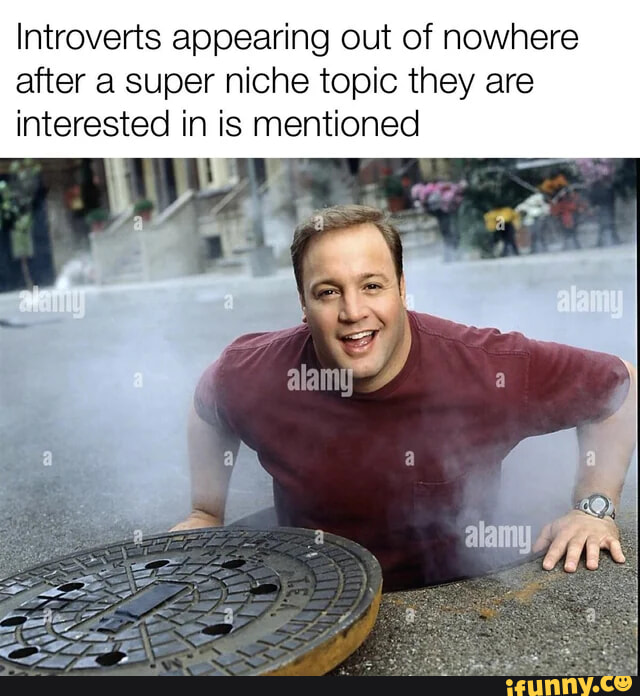 Introverts appearing out of nowhere after a super niche topic they are ...