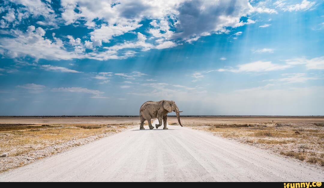 Namibia memes. Best Collection of funny Namibia pictures on iFunny