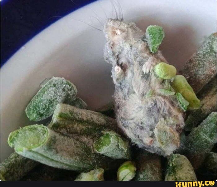 Frozen_vegetables memes. Best Collection of funny Frozen_vegetables ...