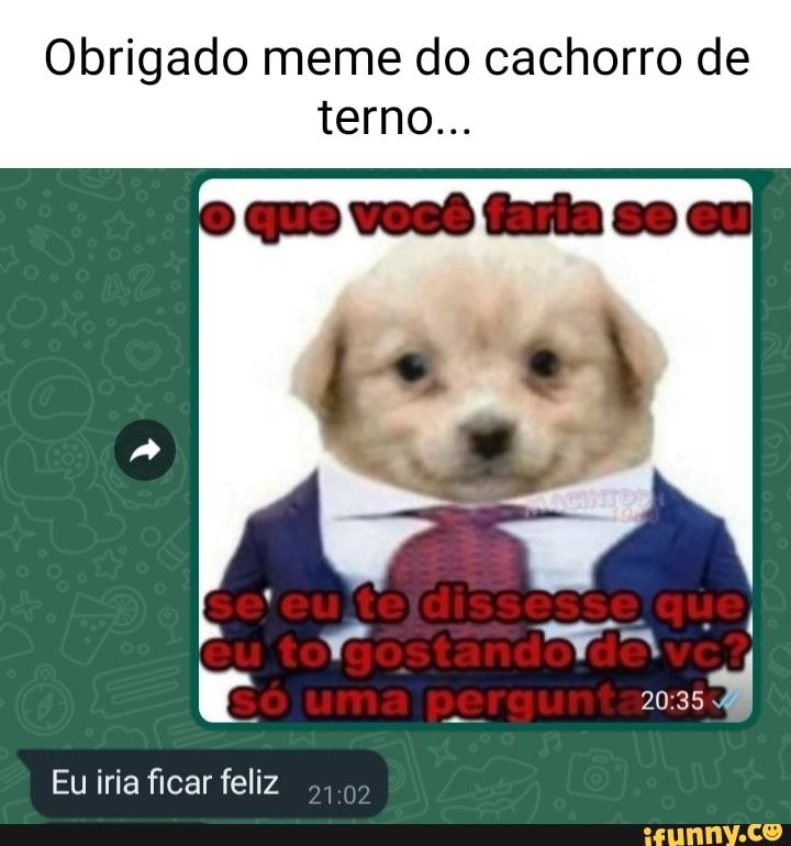 Obrigado meme do cachorro de terno... Eu iria ficar feliz - iFunny Brazil