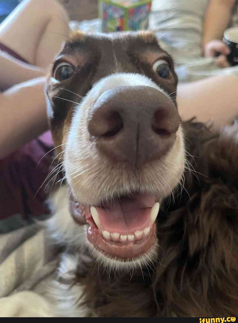 Reaction memes. Best Collection of funny Reaction pictures on iFunny