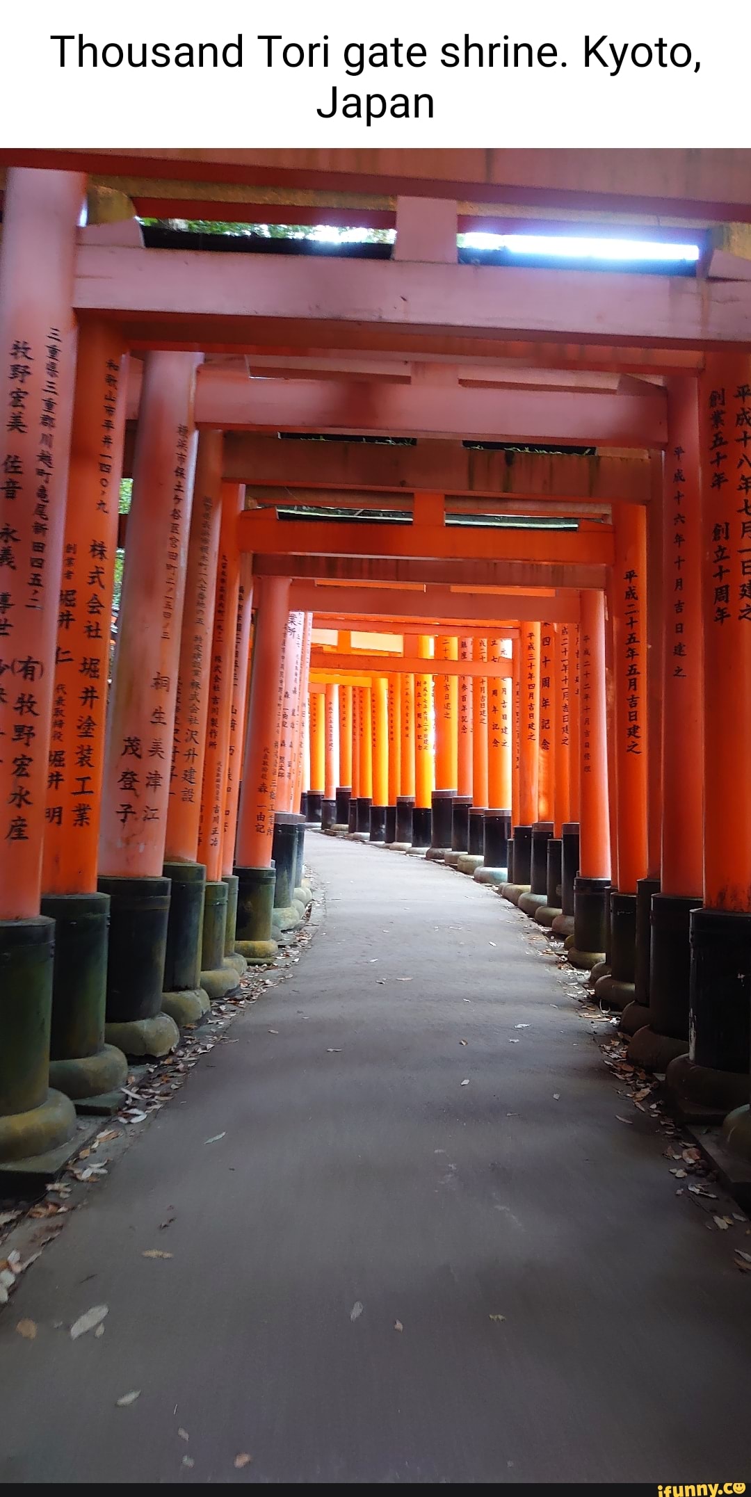 Thousand Tori gate shrine. Kyoto, Japan - iFunny