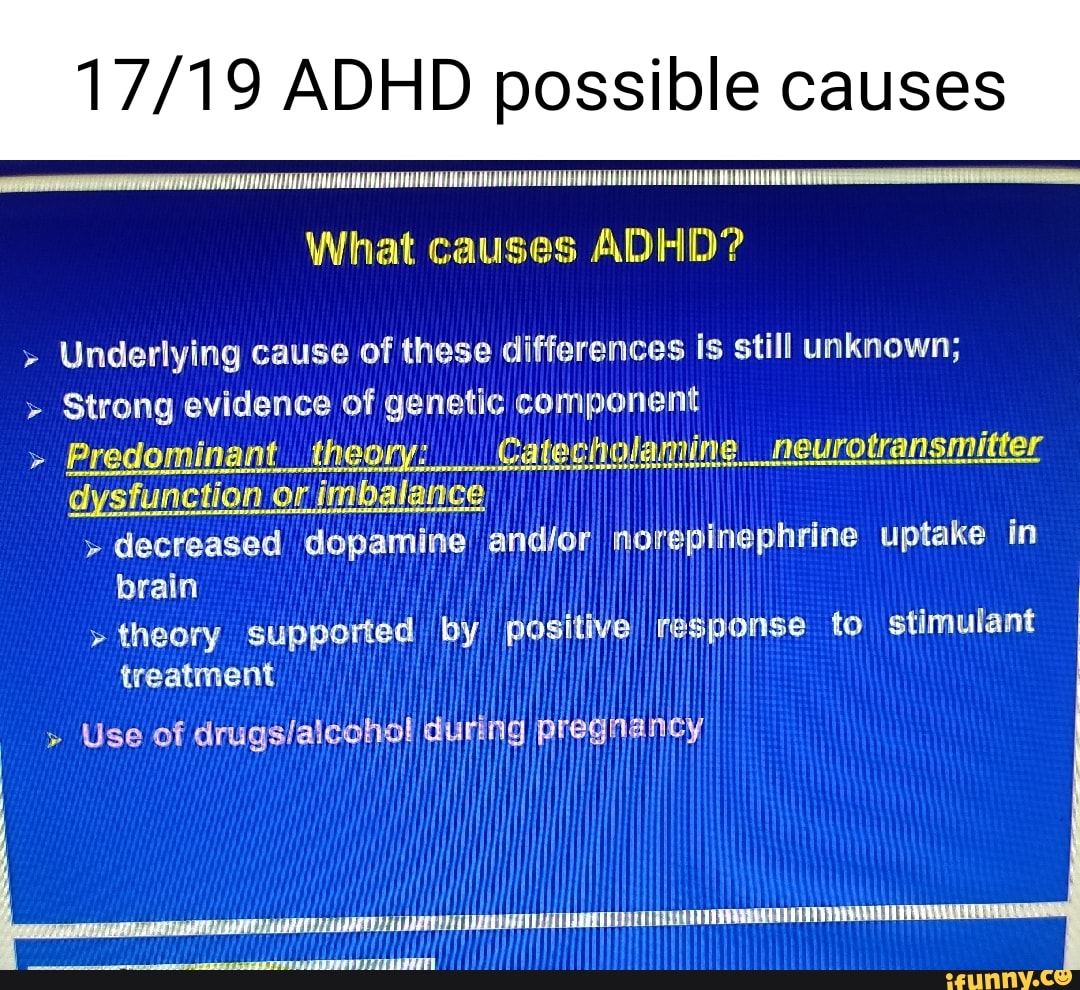 Norepinephrine memes. Best Collection of funny Norepinephrine pictures ...