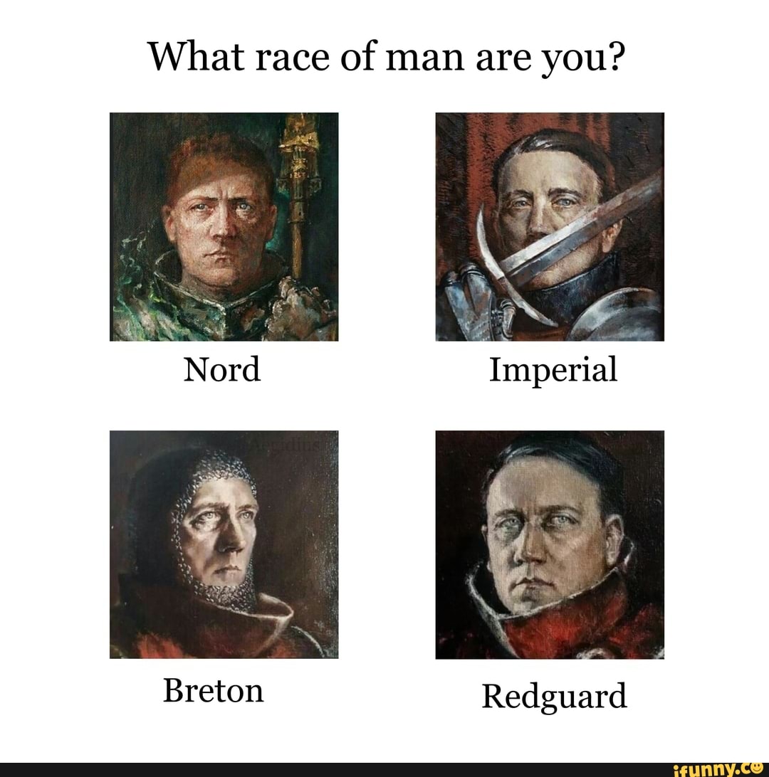 What race of man are you? Nord Imperial Breton Redguard - iFunny